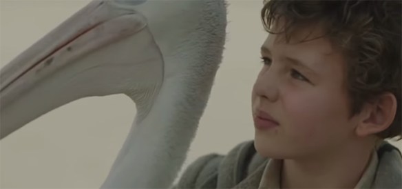 Movie Review – Storm Boy (2019) | TL;DR Movie Reviews and Analysis