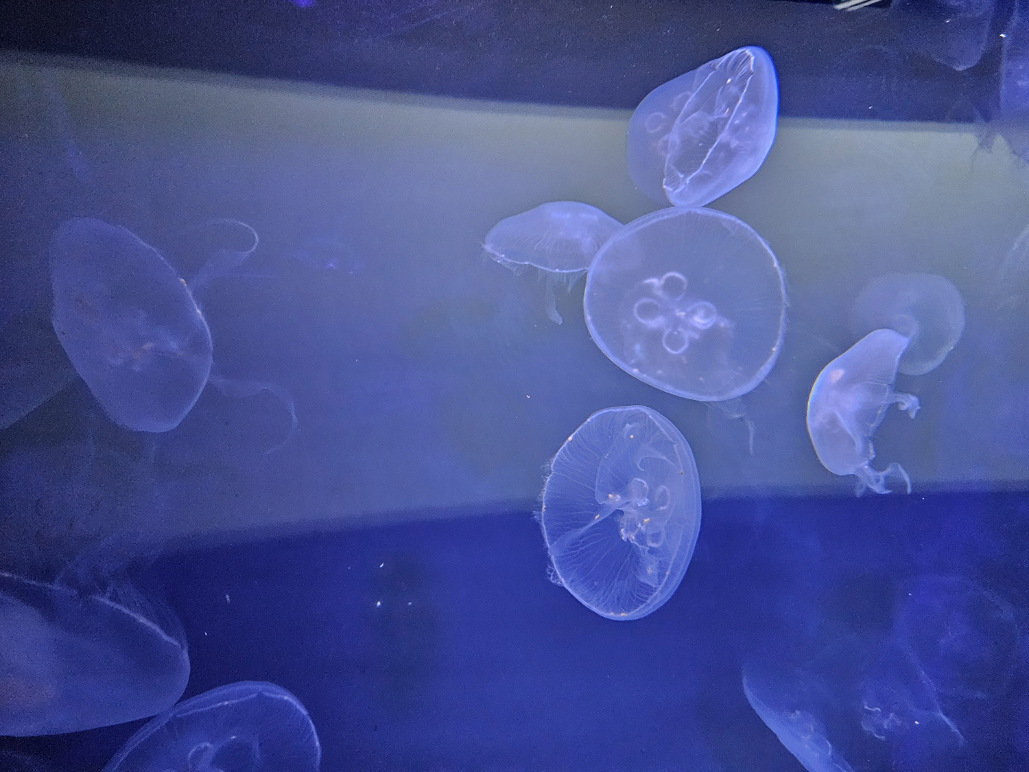 PAX Australia & Melbourne 2023 Day 5 – Explore-It | TL;DR Movie Reviews ...