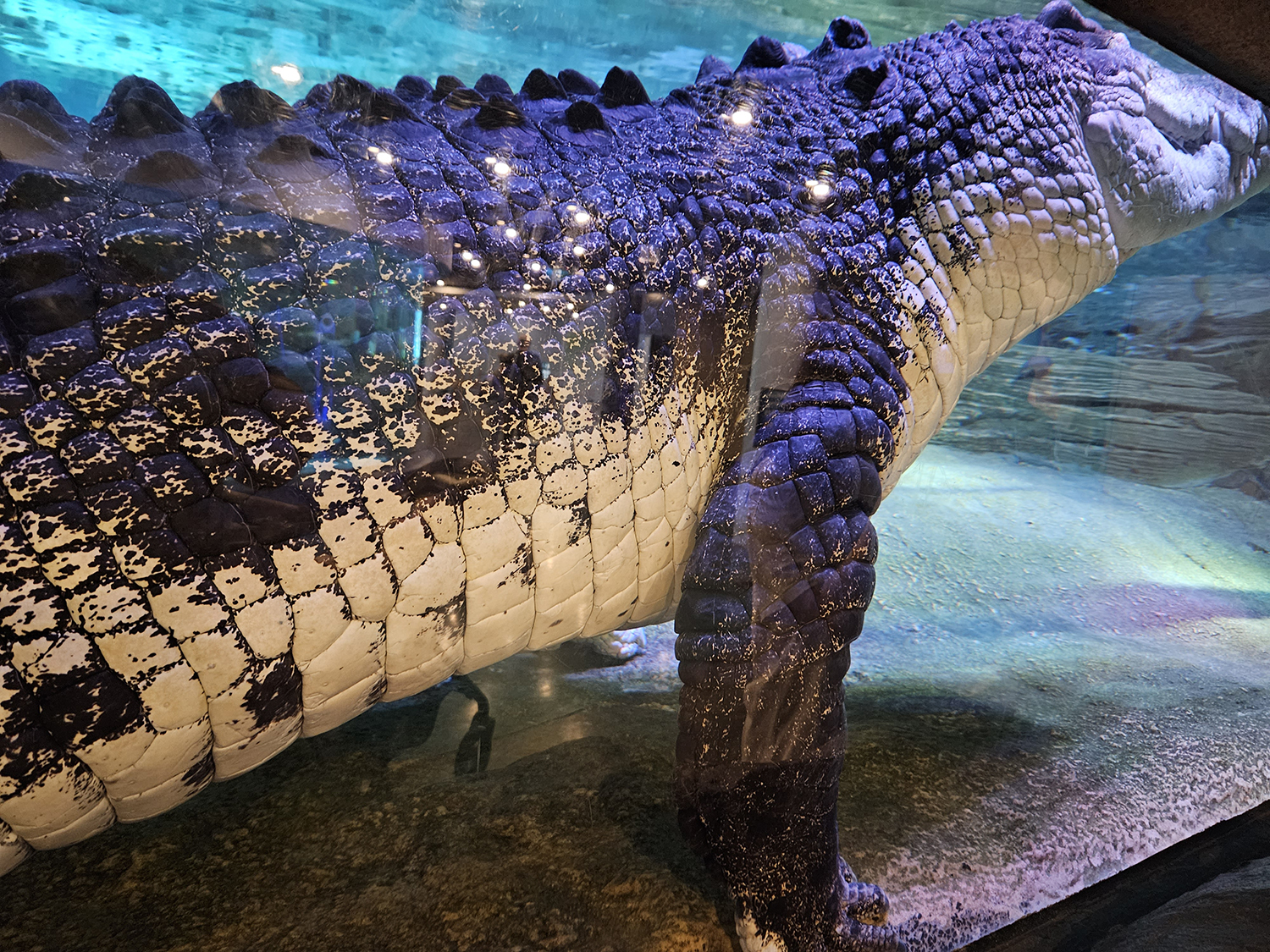 PAX Australia & Melbourne 2023 Day 5 – Explore-It | TL;DR Movie Reviews ...