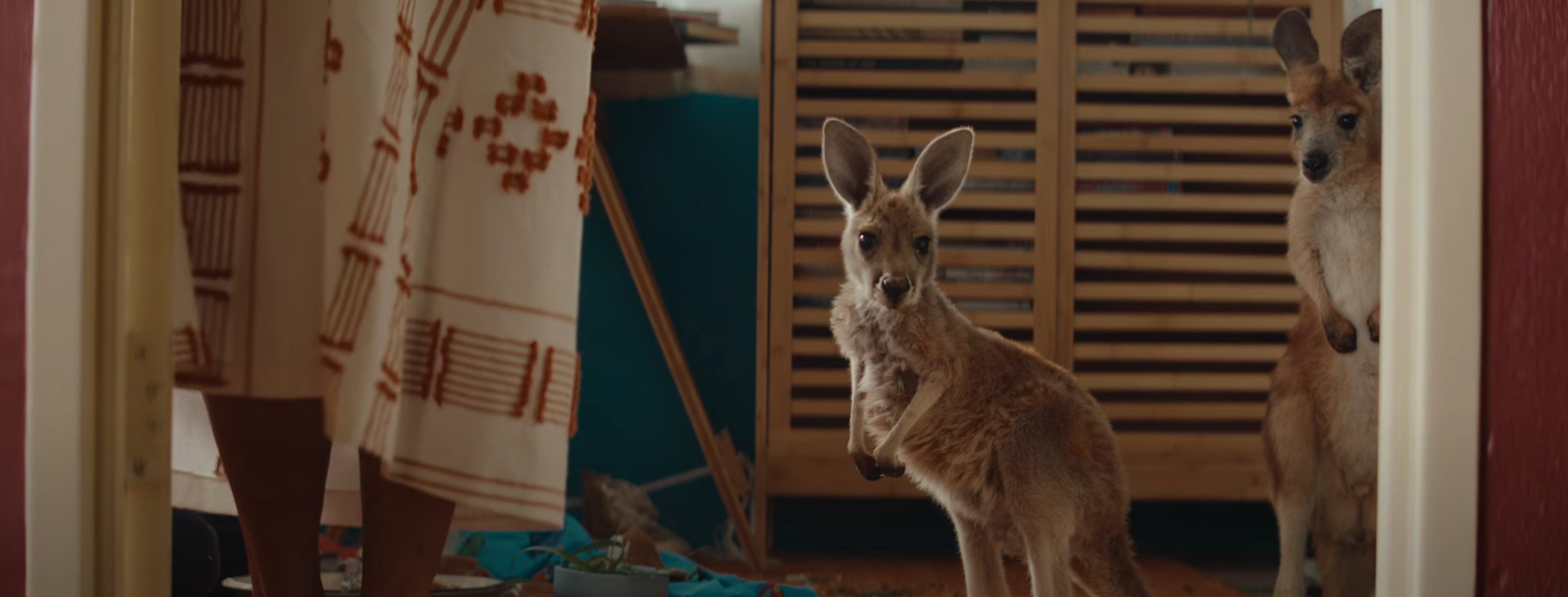 Kangaroo (2025) – Movie Review | TL;DR Movie Reviews and Analysis