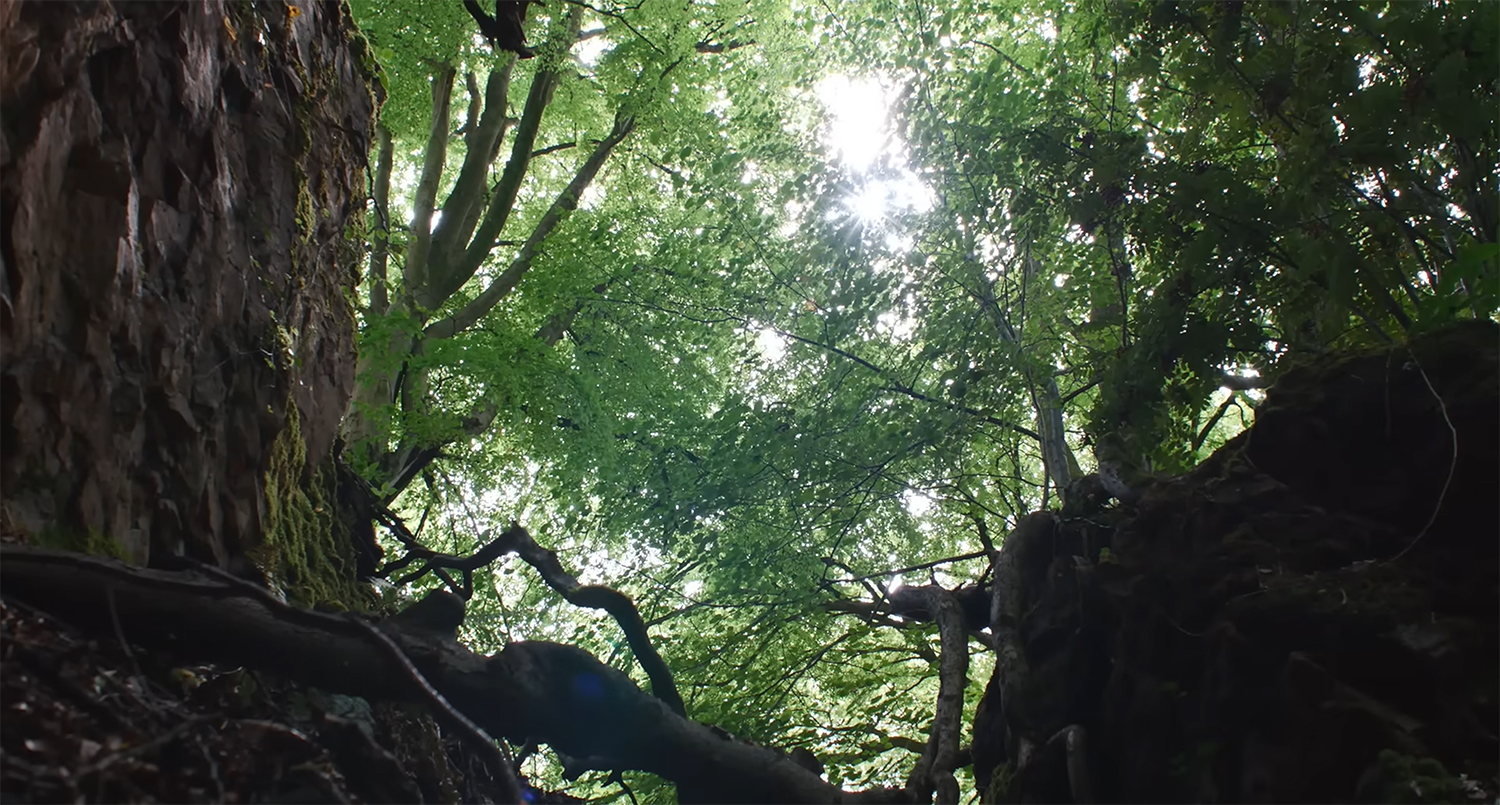 Hamnet – Movie Review | TL;DR Movie Reviews and Analysis